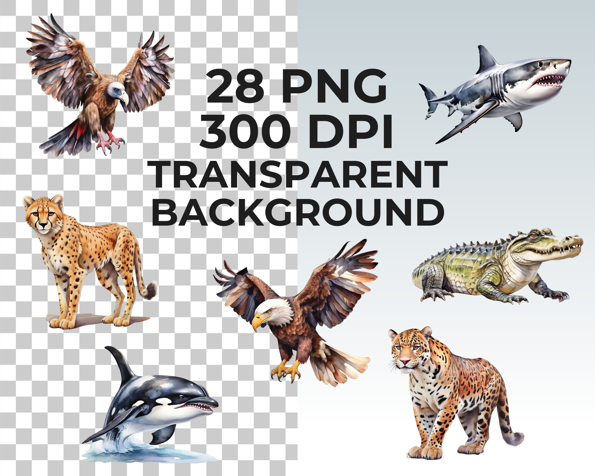 Predator Animals Clipart Bundle, Printable Watercolor Animal, Wild ...