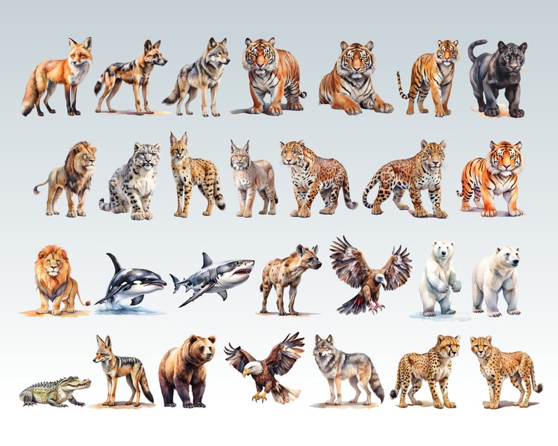 Predator Animals Clipart Bundle, Printable Watercolor Animal, Wild ...