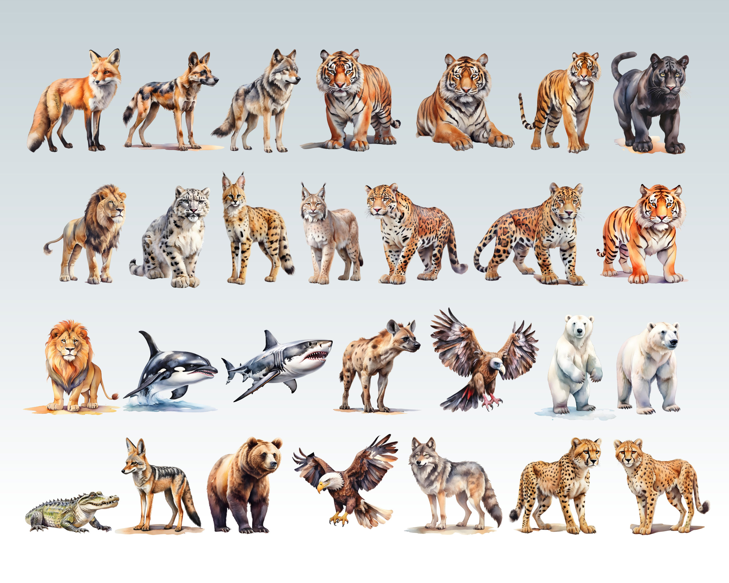 Predator Animals Clipart Bundle, Printable Watercolor Animal, Wild ...