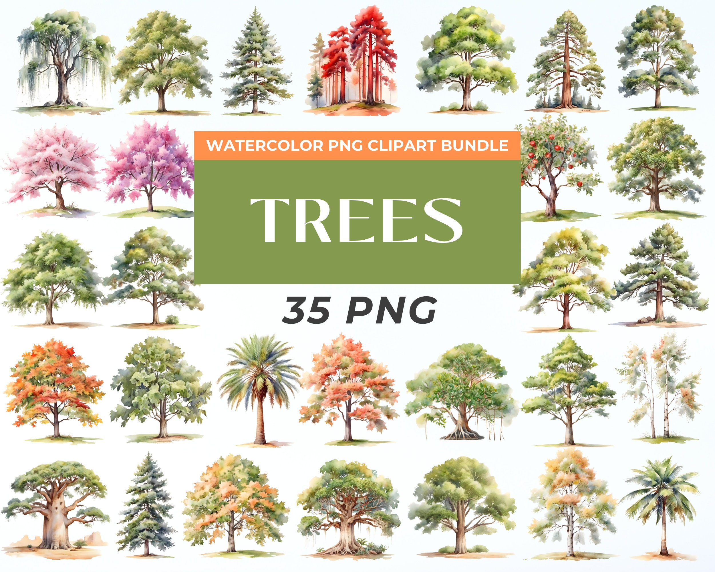 Watercolor Tree Clipart, Tropical Trees, Botanical Art, Tree Watercolor ...