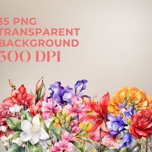 Watercolor Floral Clipart Bundle, Beautiful Flowers Collection, Blooms ...