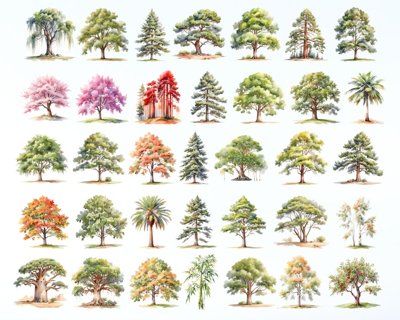 Watercolor Tree Clipart, Tropical Trees, Botanical Art, Tree Watercolor ...