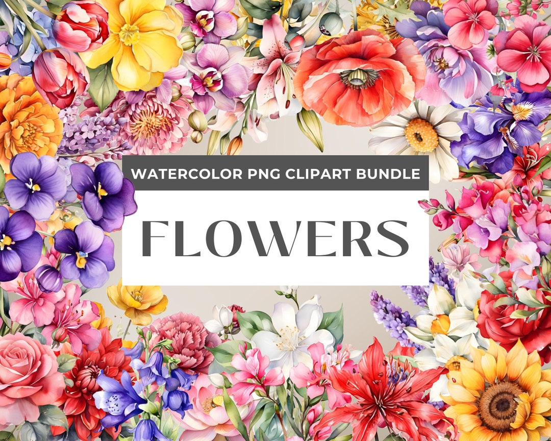 Watercolor Floral Clipart Bundle, Beautiful Flowers Collection, Blooms ...