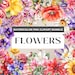 Watercolor Floral Clipart Bundle, Beautiful Flowers Collection, Blooms ...