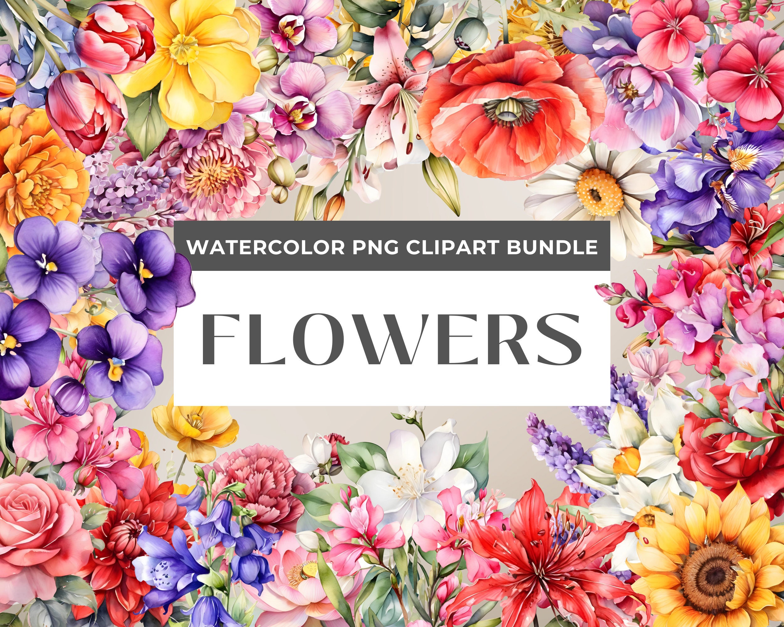 Watercolor Floral Clipart Bundle, Beautiful Flowers Collection, Blooms ...