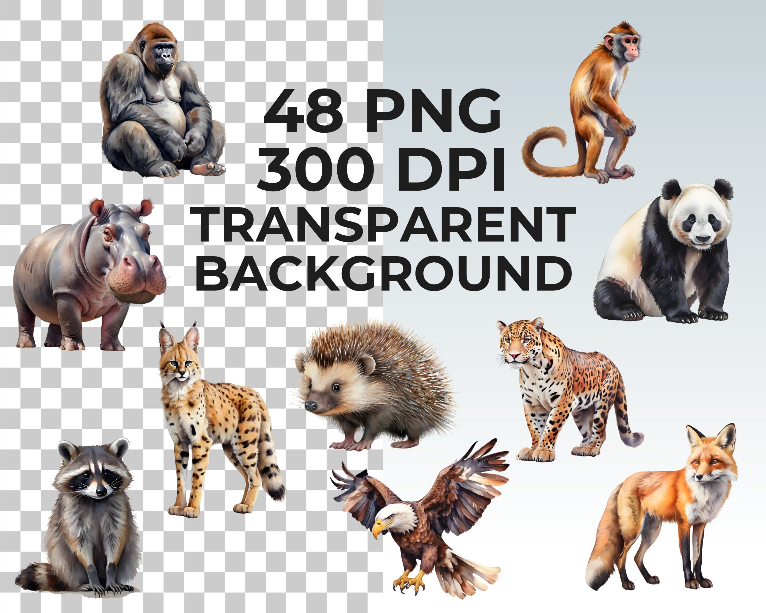 Wild Animals Clipart Bundle, Printable Watercolor Animal, Predator ...