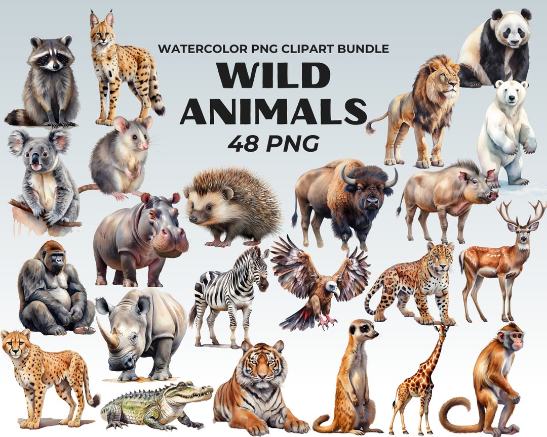 Wild Animals Clipart Bundle, Printable Watercolor Animal, Predator ...