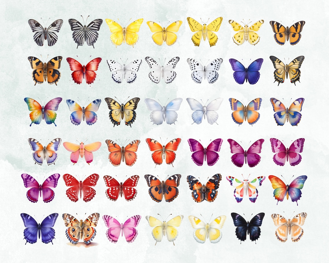 Watercolor Butterflies Clipart Collection, Colorful Butterfly Bundles ...