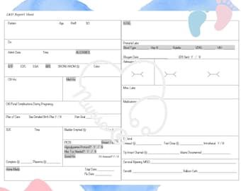 Labor and Delivery Nurse Report Sheet, Nurse Brain Sheet, OB Nurse ...
