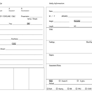 L&D Report Sheet, Nurse Brain Sheet, Labor and Delivery, Postpartum ...