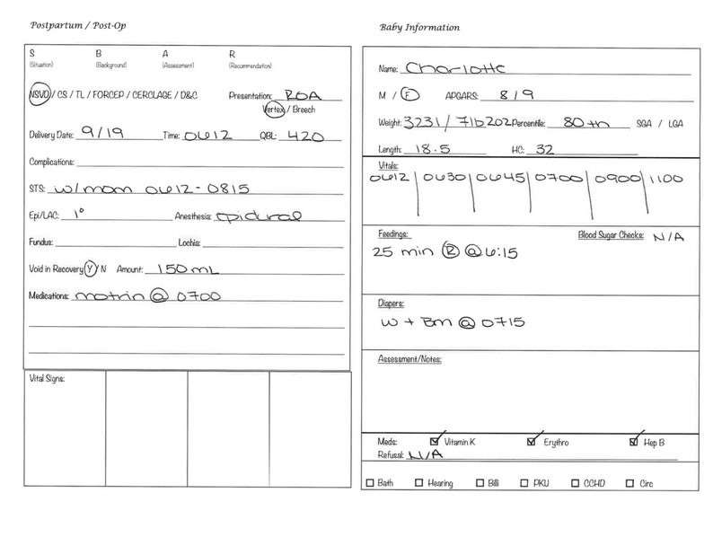 L&D Report Sheet, Nurse Brain Sheet, Labor and Delivery, Postpartum ...