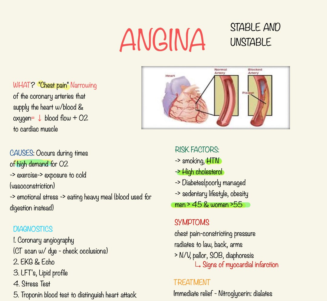 Nursing Study Sheet "angina" - Etsy