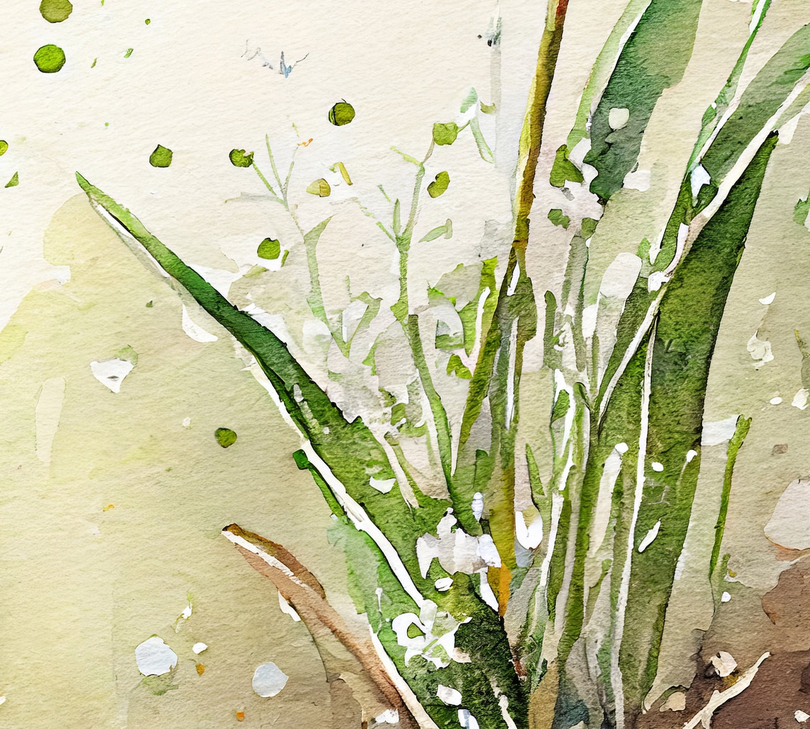 Snowdrop Flower Painting Watercolor Print Botanical Art, Floral ...