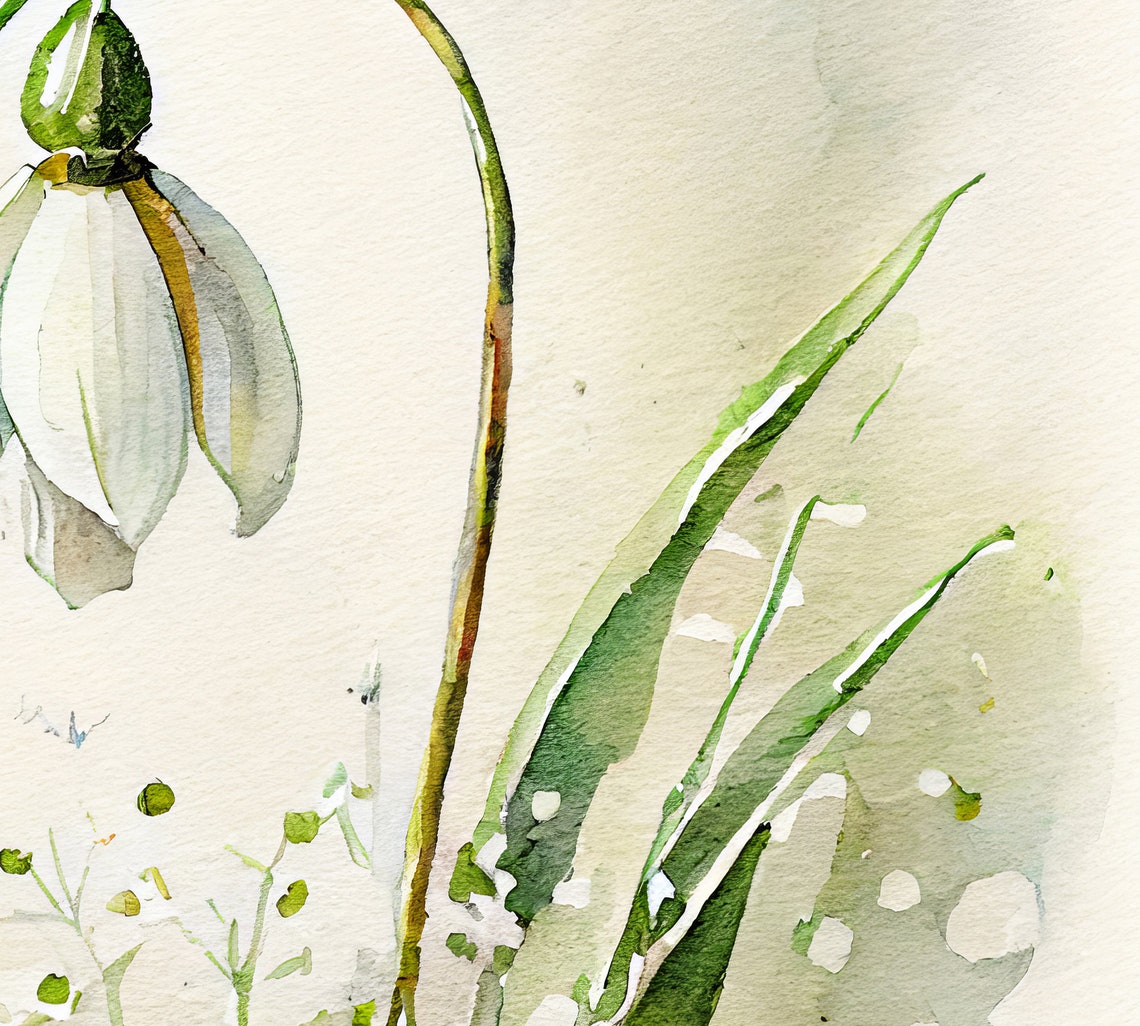 Snowdrop Flower Painting Watercolor Print Botanical Art, Floral ...