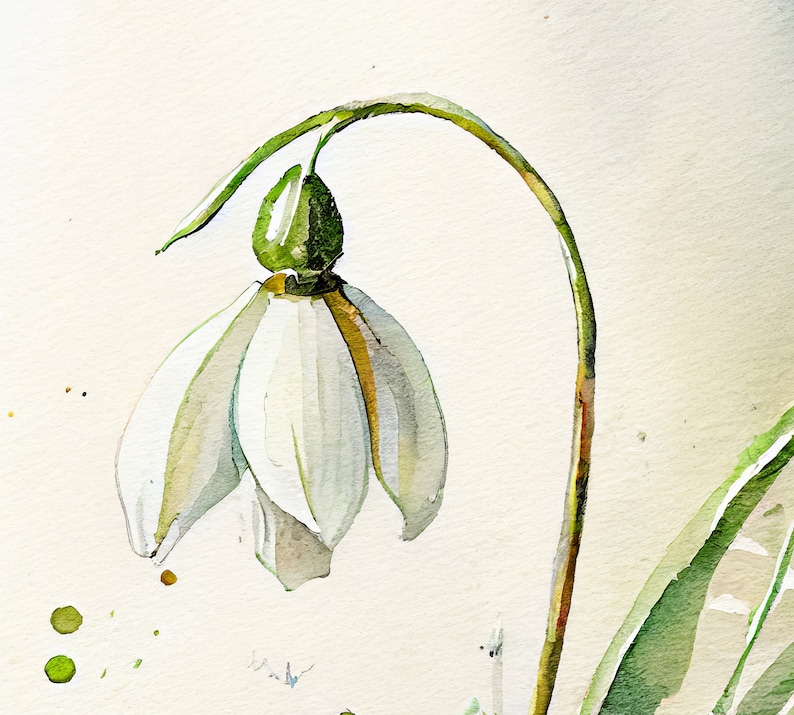 Snowdrop Flower Painting Watercolor Print Botanical Art, Floral ...