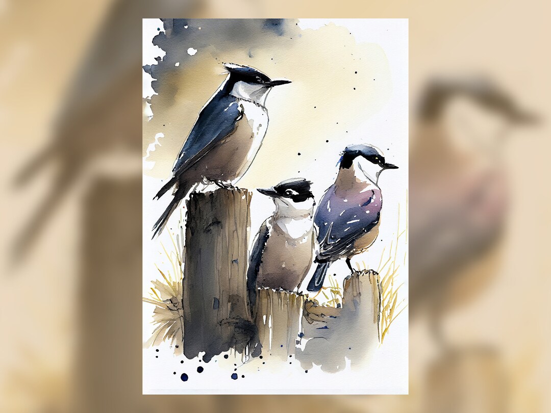 Three Common Tern's Watercolor Painting Print Bird Artwork Silvery-grey ...