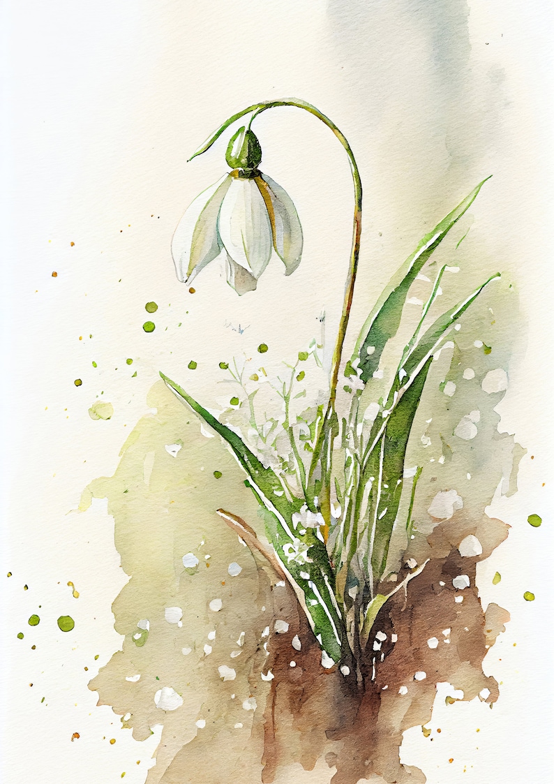 Snowdrop Flower Painting Watercolor Print Botanical Art, Floral ...