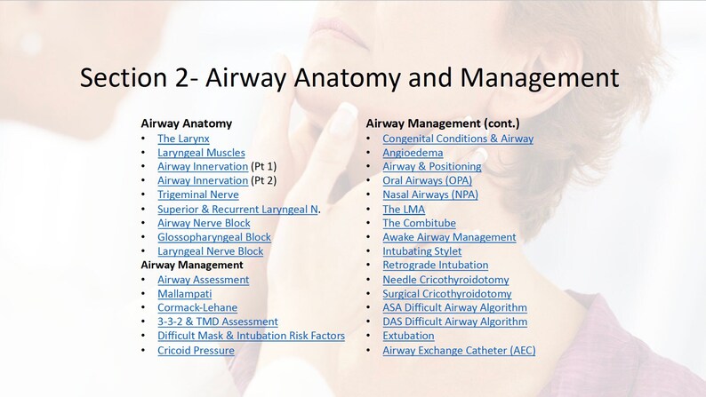 Airway Anatomy and Managment SRNA/CRNA Notes, Anesthesia & Me Notes - Etsy