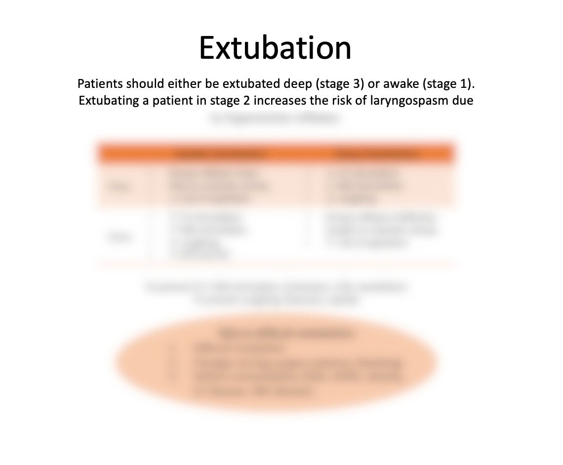 Airway Anatomy and Managment SRNA/CRNA Notes, Anesthesia & Me Notes - Etsy
