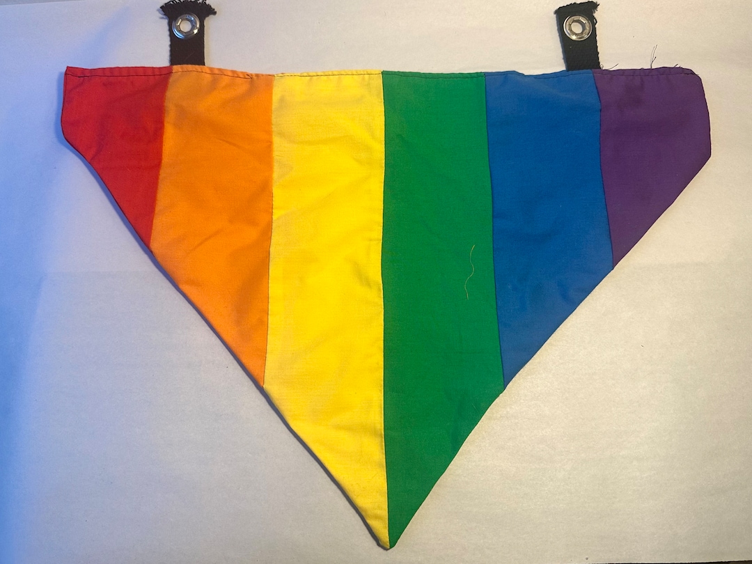 Triangular Rainbow Pride Flag - Etsy
