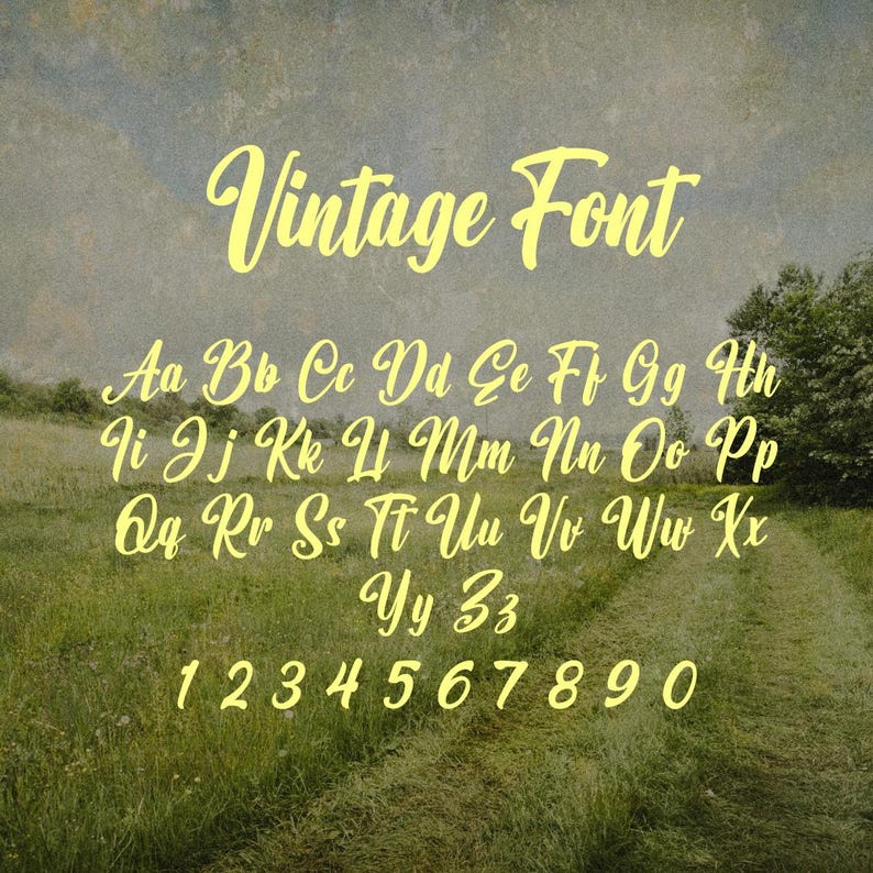 Vintage Font Pack Retro Aesthetic Fonts for Graphic Designers DIY ...