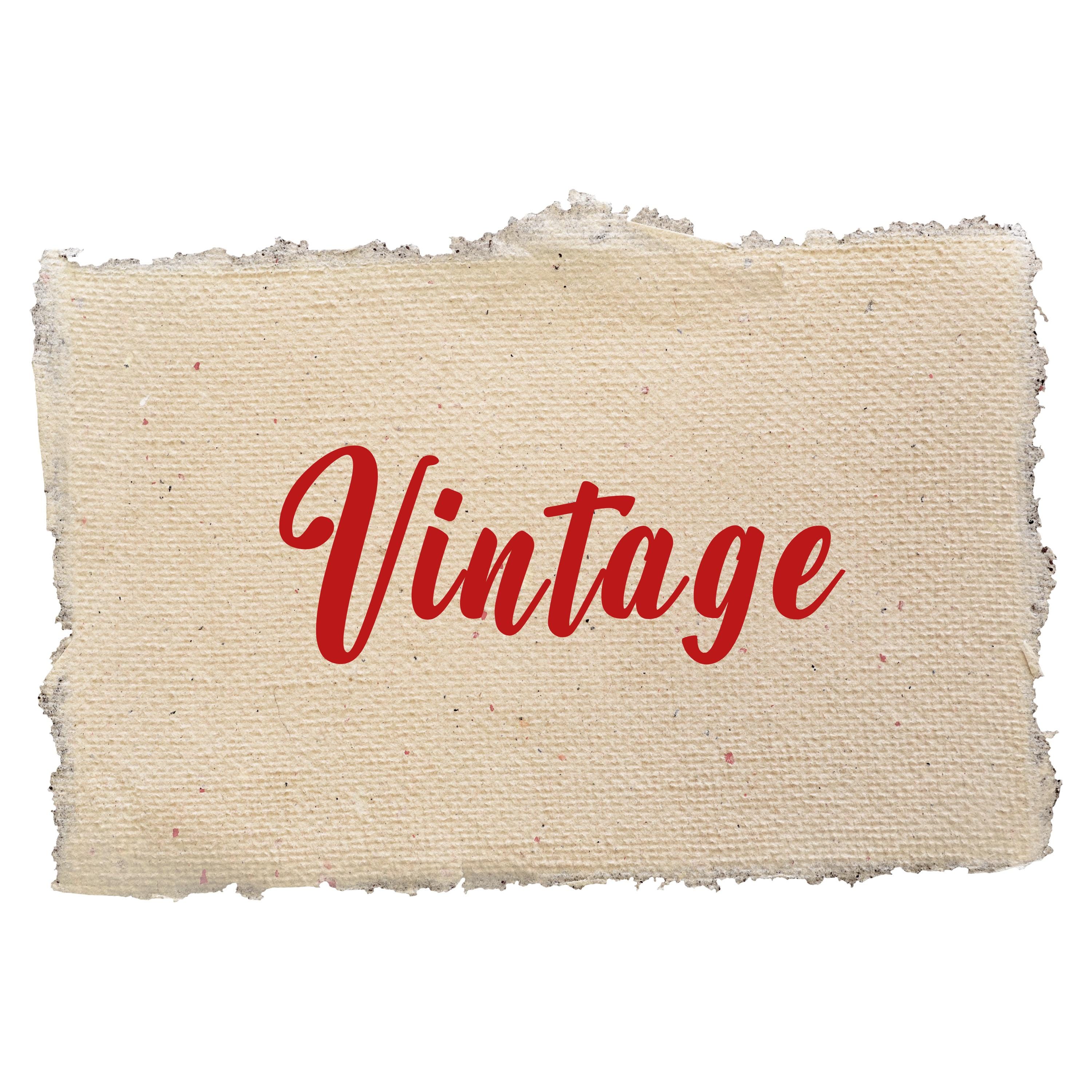 Vintage Font Pack Retro Aesthetic Fonts for Graphic Designers DIY ...