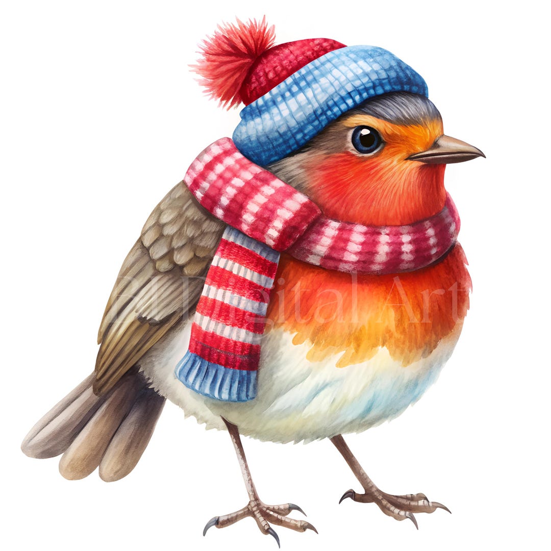 12 Christmas Robin Clipart, Winter Birds Clipart, Bird With Hat ...