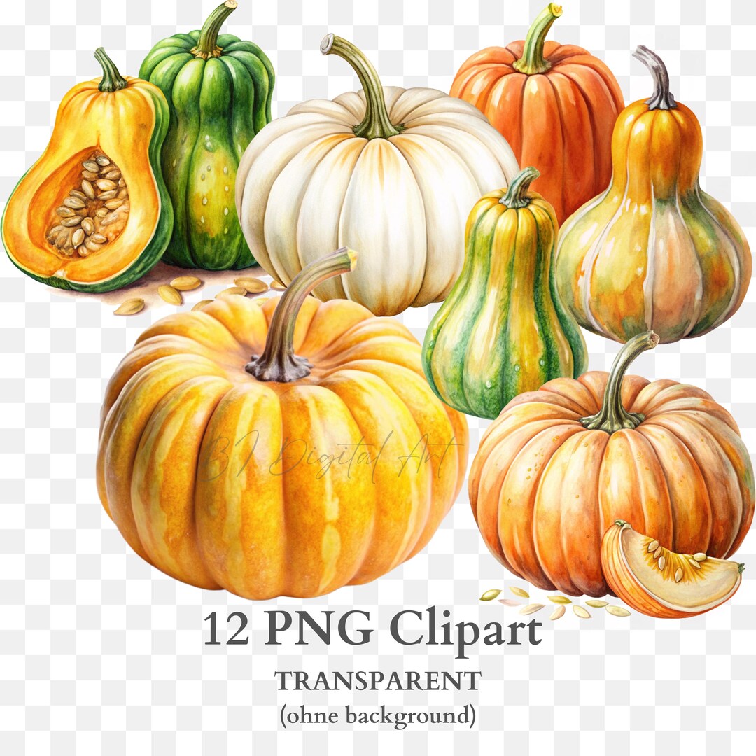 Pumpkin Clipart, Autumn Vegetable Clipart, Various Pumpkins, Autumn ...