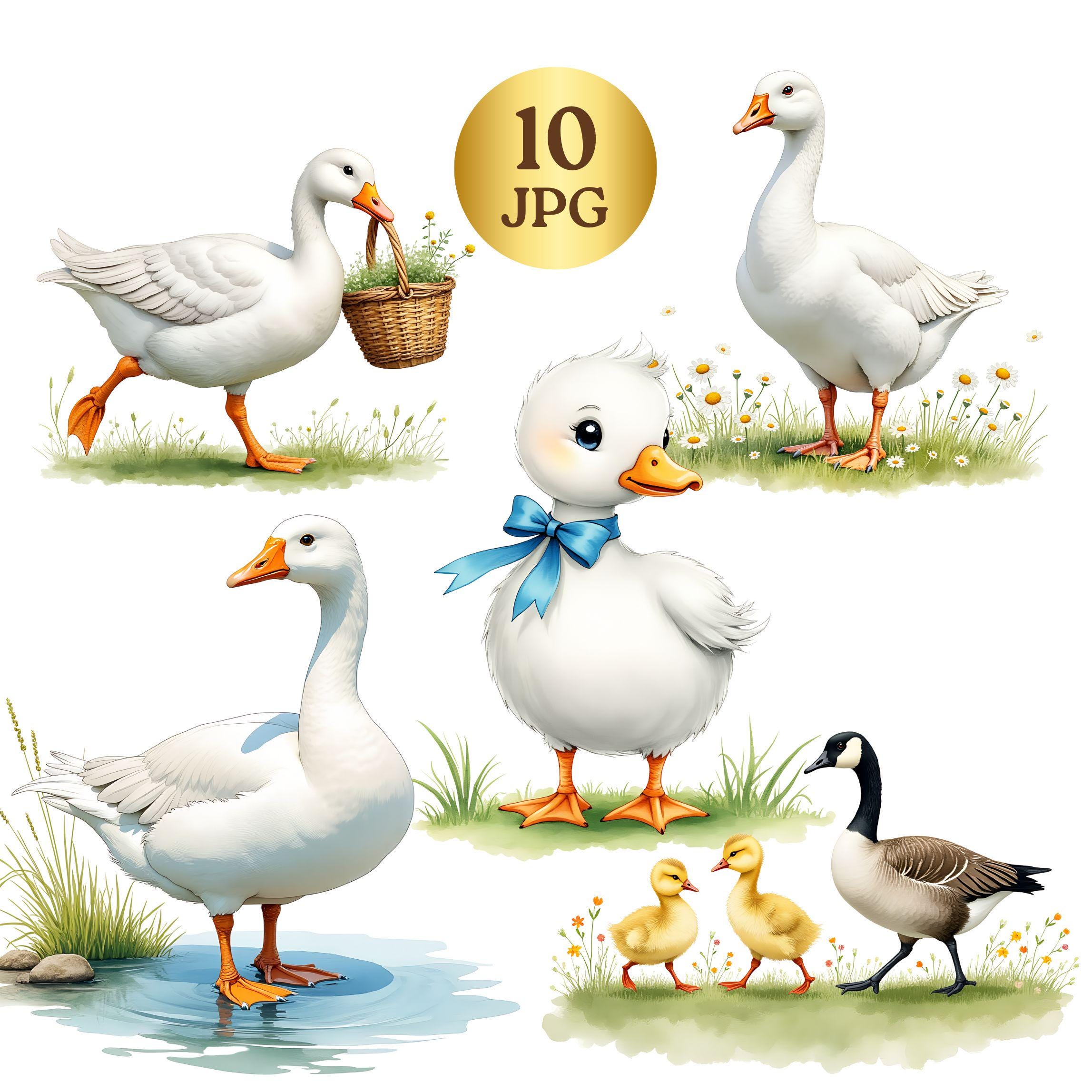 Cute Goose Cliparts - 10 Watercolor Farm Animals, Printable JPG Images ...