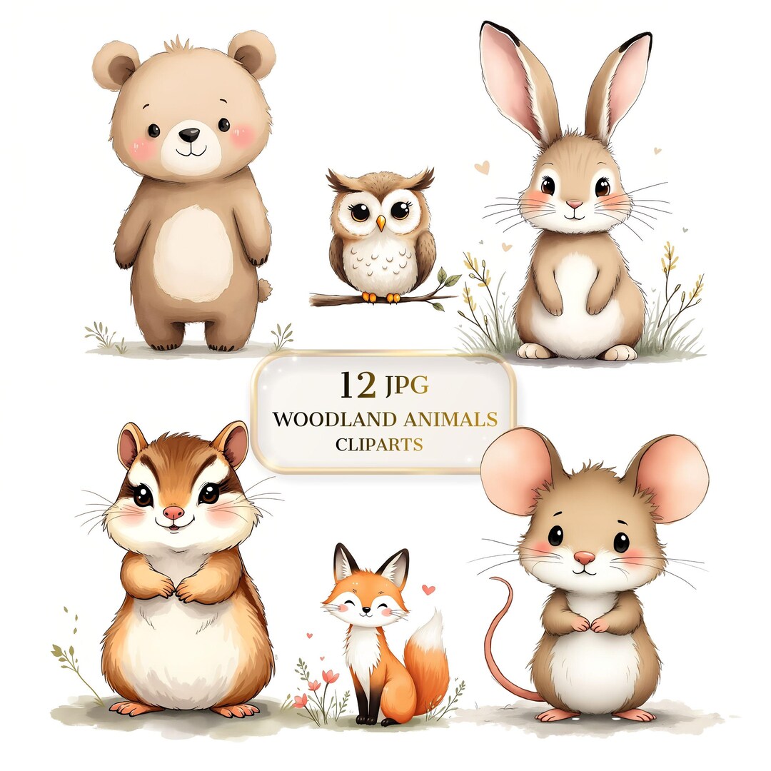 Cute Woodland Animals Clipart – Forest Animals Graphics (12 JPG Images ...