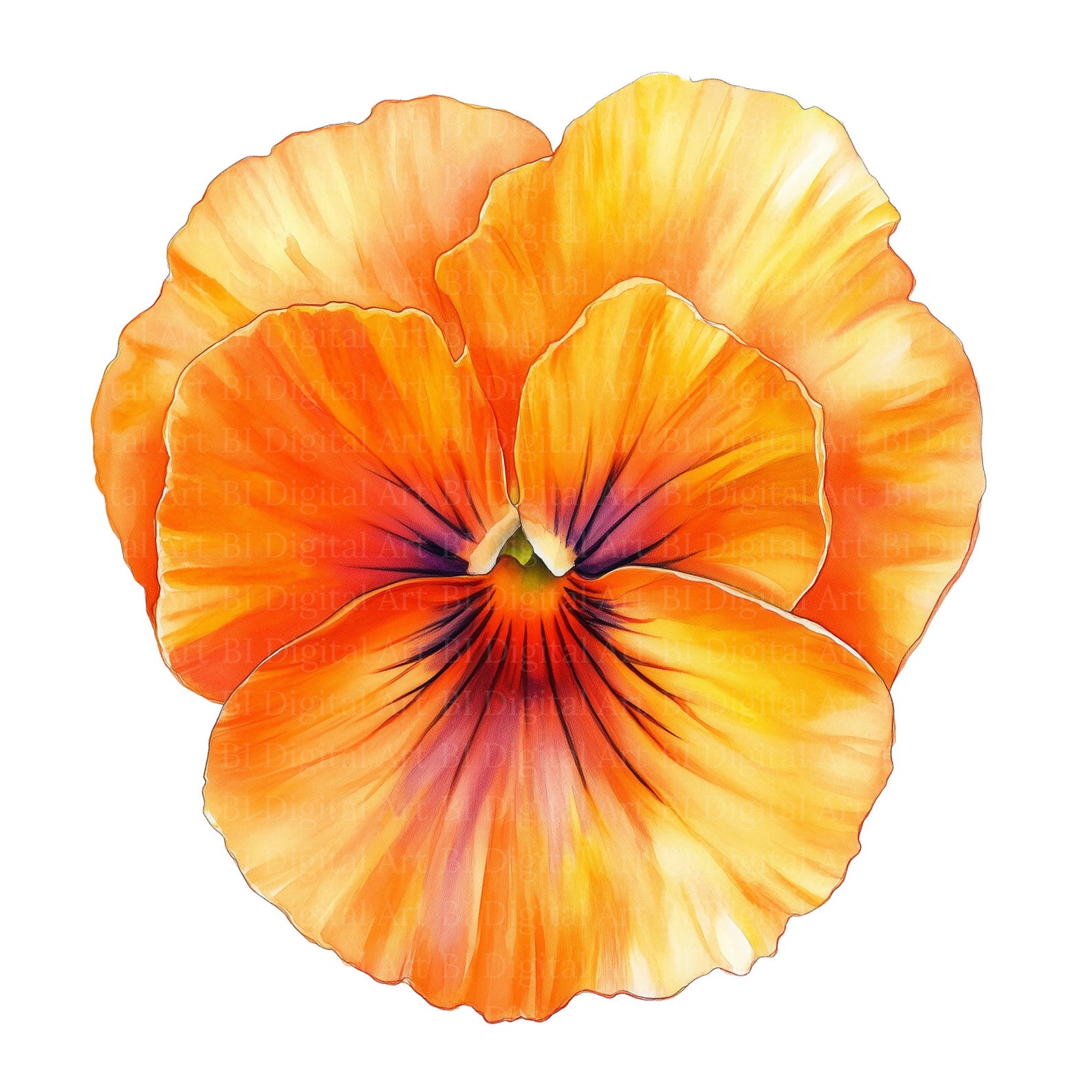 25 Pansy Cliparts, Printable Watercolor Flower Illustrations ...