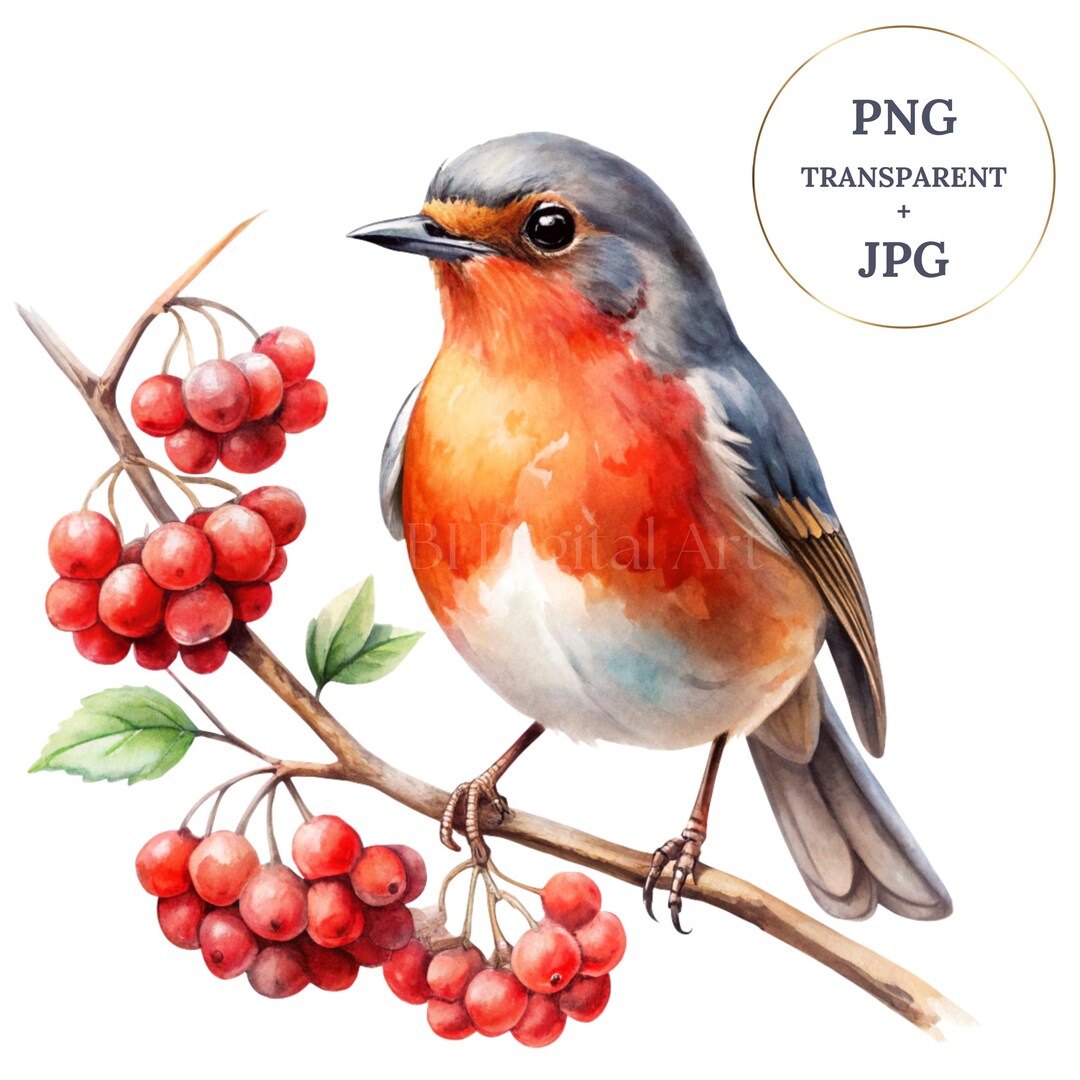 Christmas Robin Clipart, Birds Clipart, Bird on Branch, Printable ...