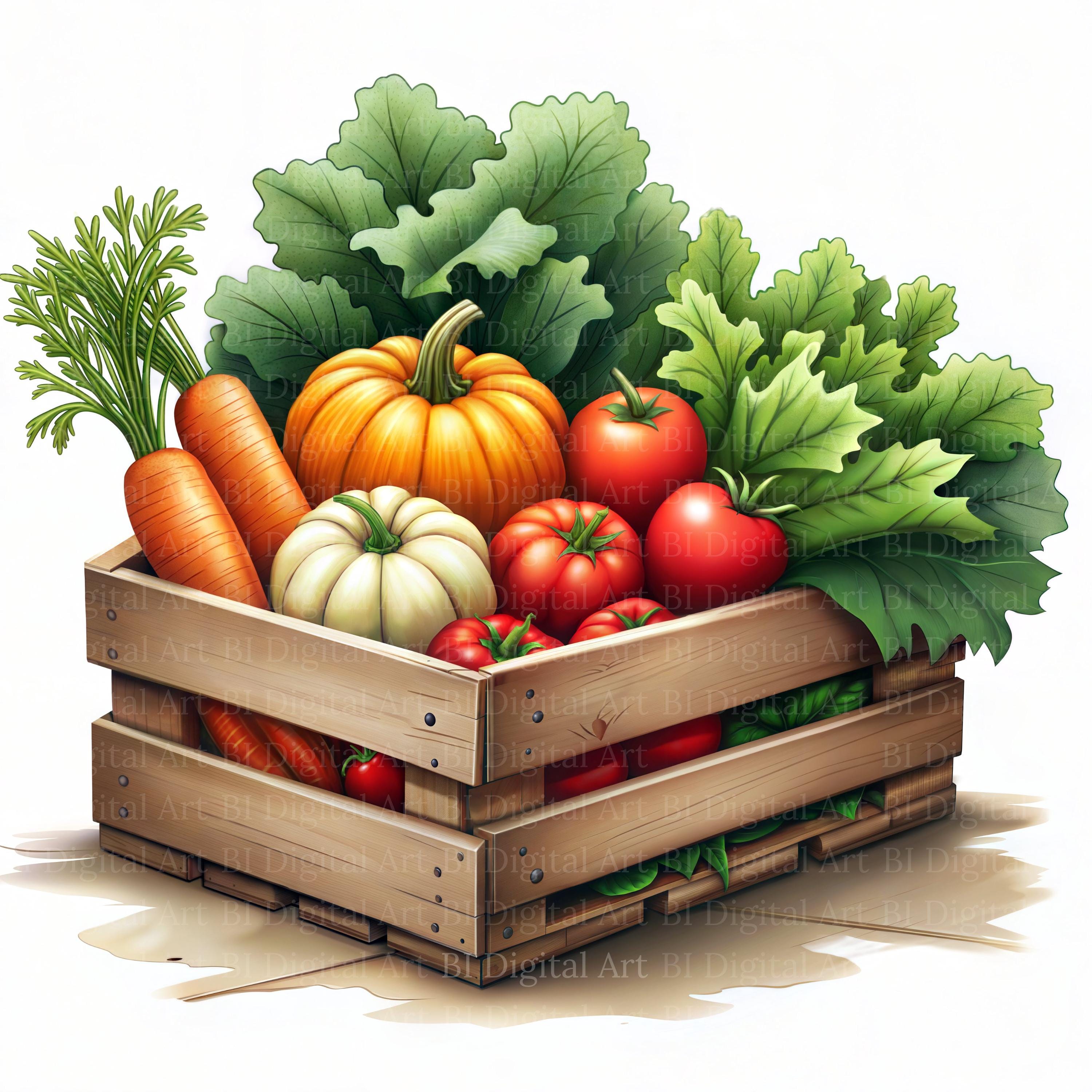 10 Vegetables Basket Cliparts, Autumn Harvest Basket, Printable ...