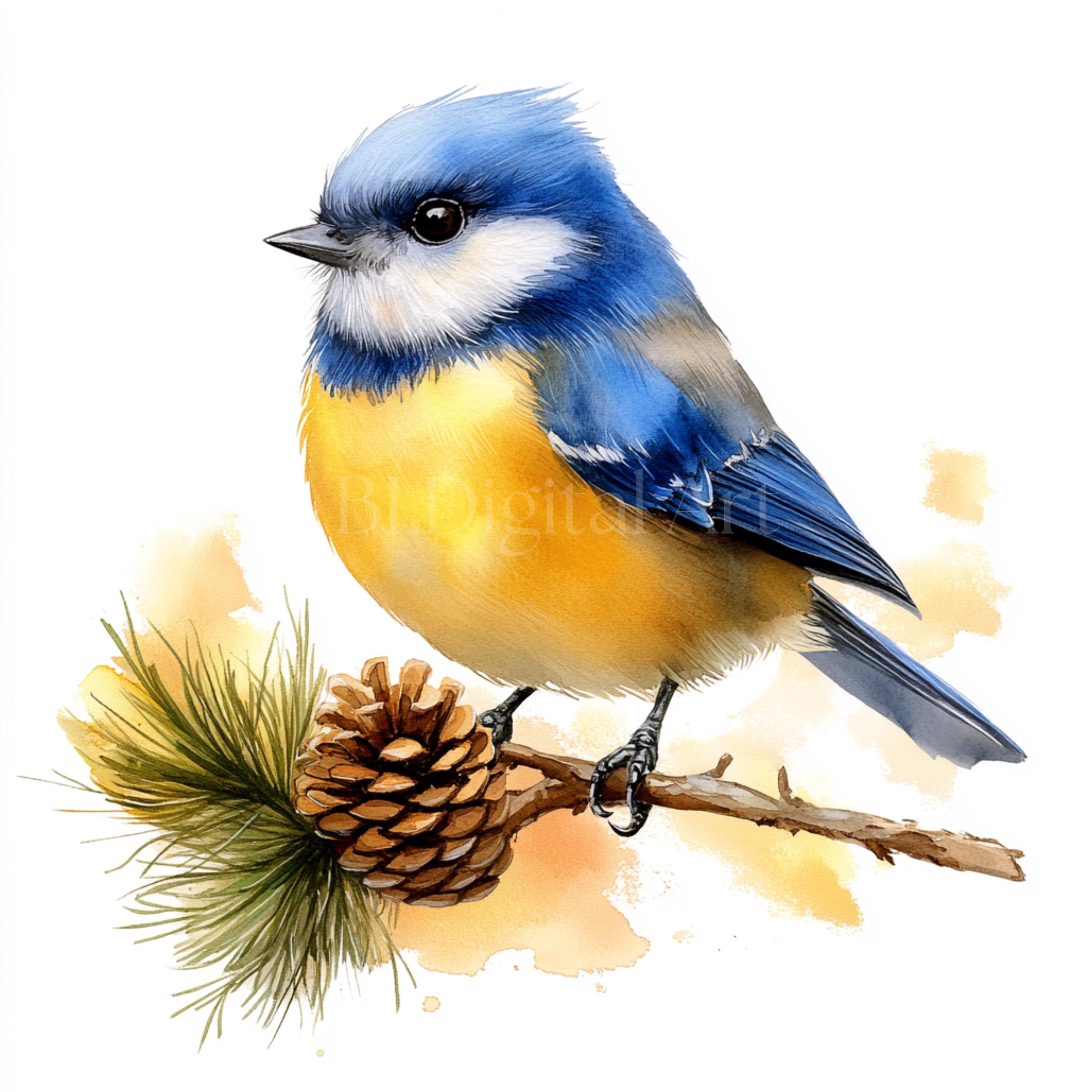 14 Blue Tit Bird Clipart, Bird Clipart, Bird on Branch, Printable ...