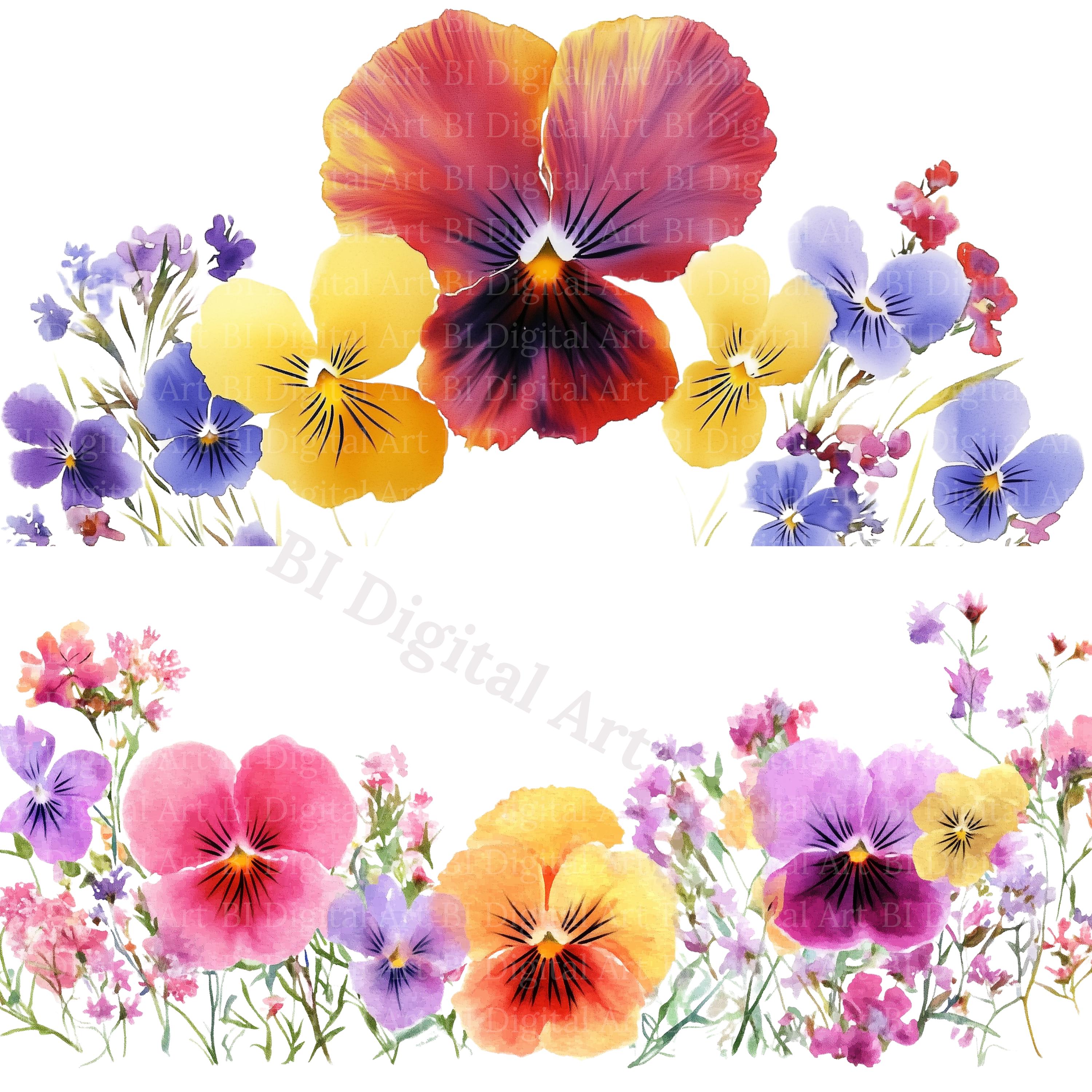 24 Pansies Flower Frames Clipart, Pansy Borders, Printable Watercolor ...