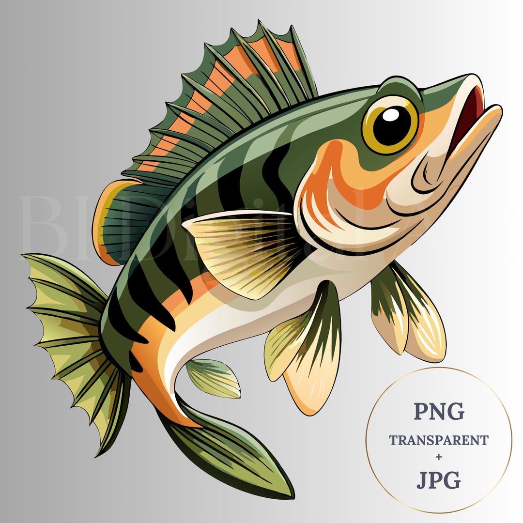 Zander Fish Clipart, Fish Vector Graphics, Printable Watercolor, Paper ...