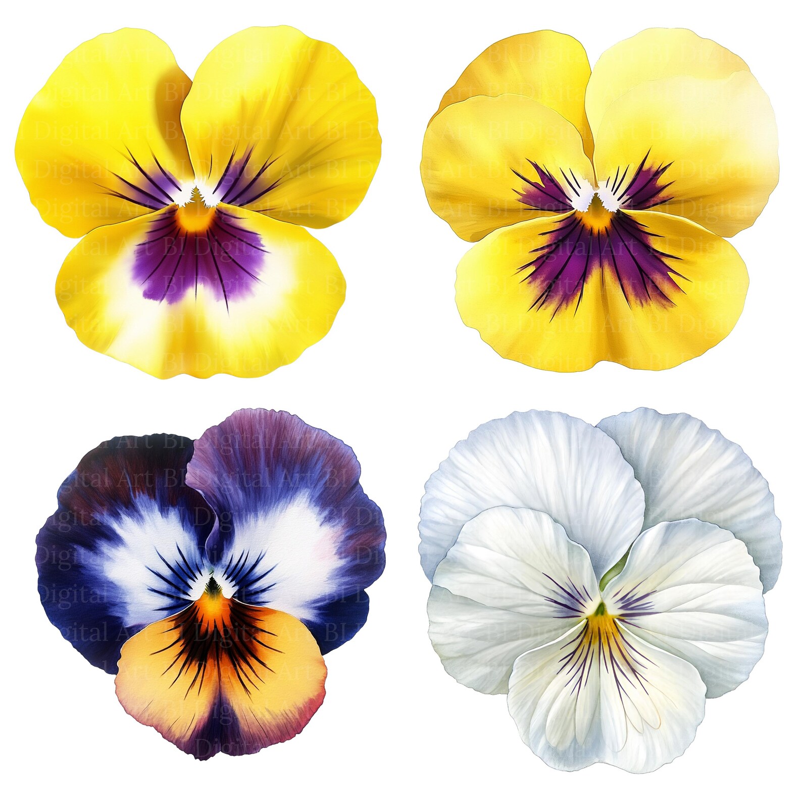 25 Pansy Cliparts, Printable Watercolor Flower Illustrations ...