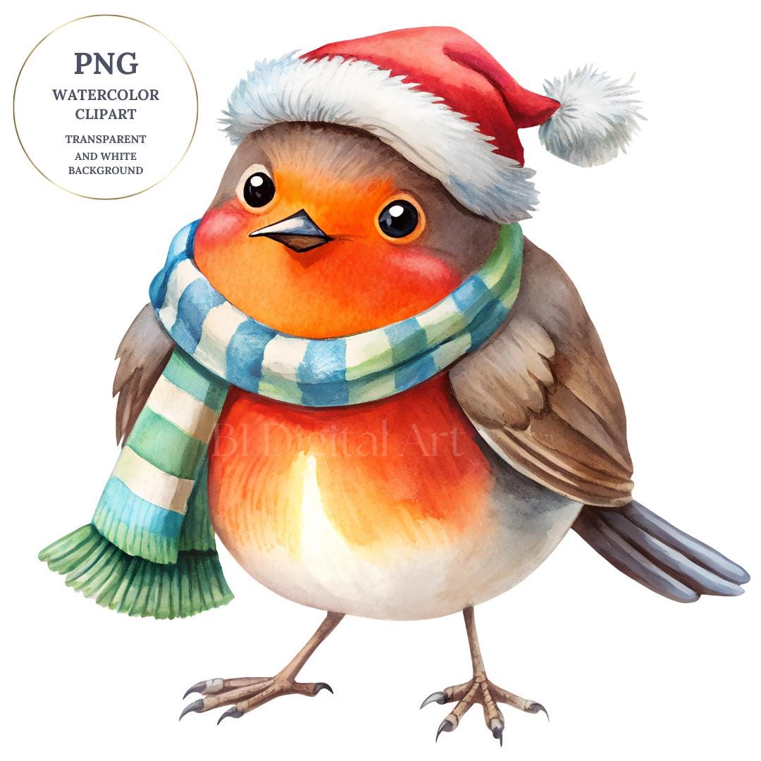 Christmas Robin Clipart, Winter Birds Clipart, Bird With Hat, Printable ...