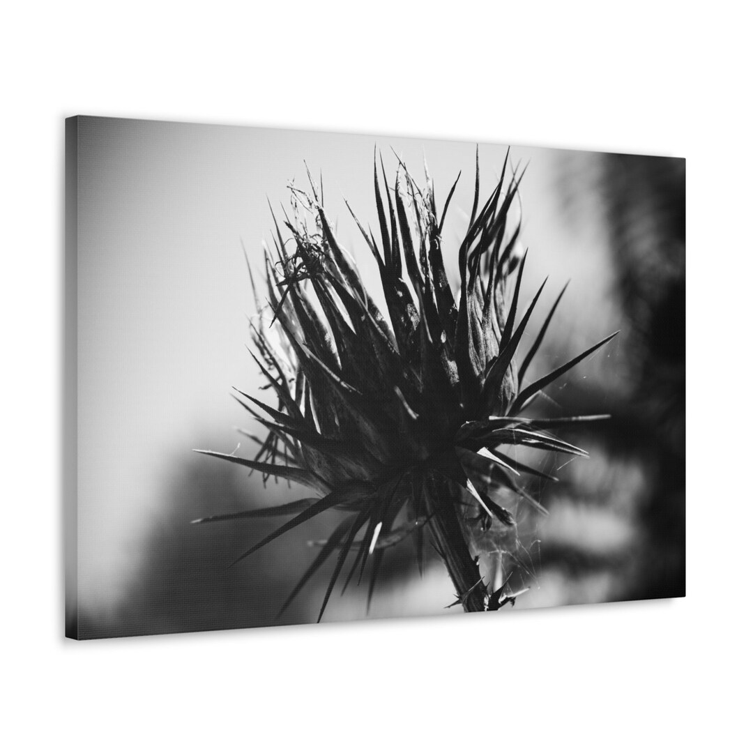 Elegance in Contrast Black and White Thorn Canvas Gallery Wraps - Etsy