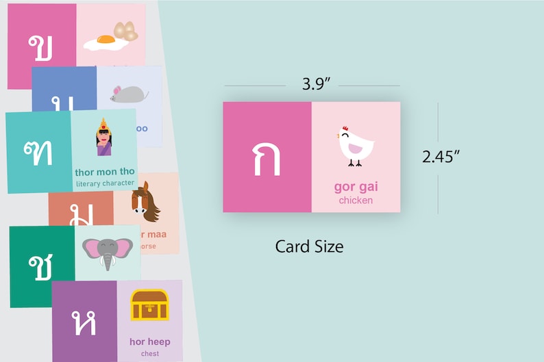 Thai Alphabet Flashcards - Etsy