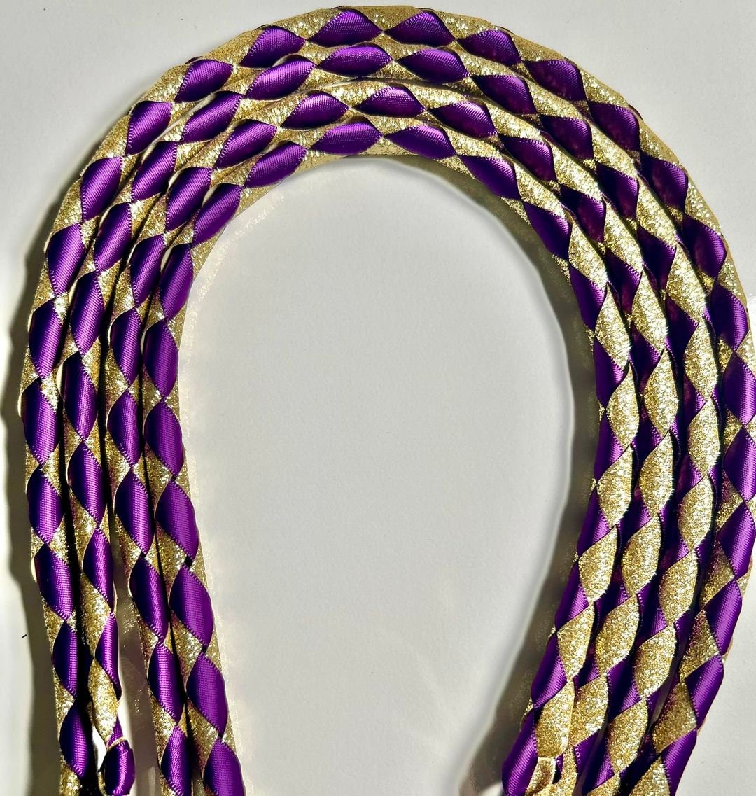 Custom Mane Ribbons and Braids for Tennessee Walking Horse, TWH ...