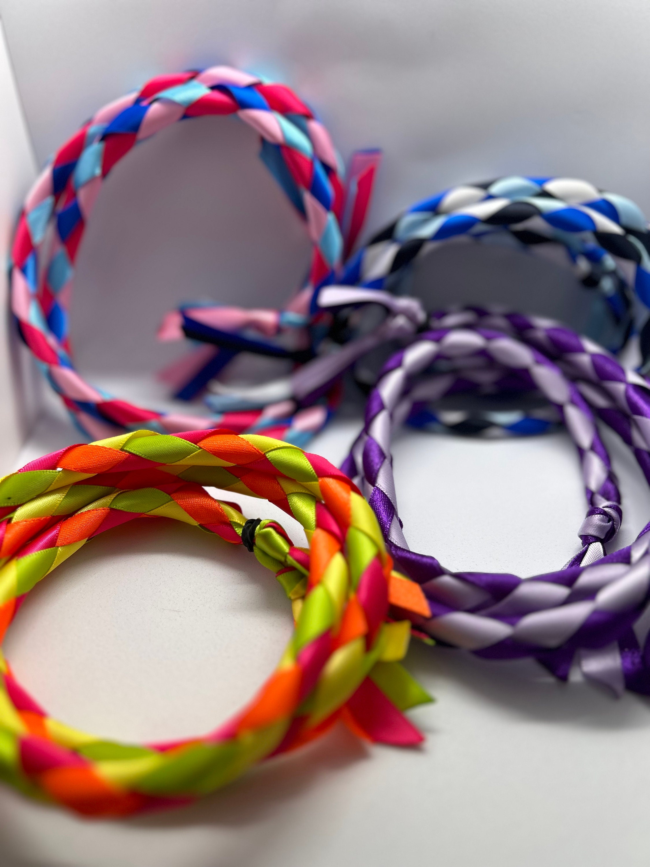 Custom Mane Ribbons and Braids for Tennessee Walking Horse, TWH ...