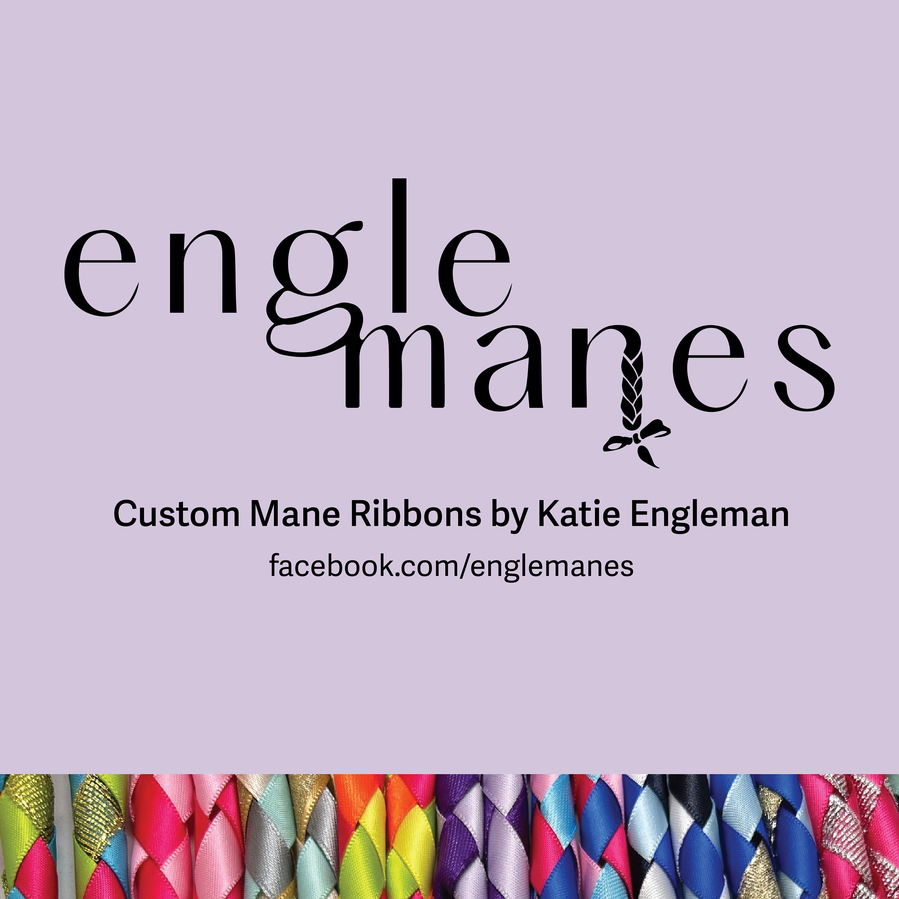 Custom Mane Ribbons and Braids for Tennessee Walking Horse, TWH ...