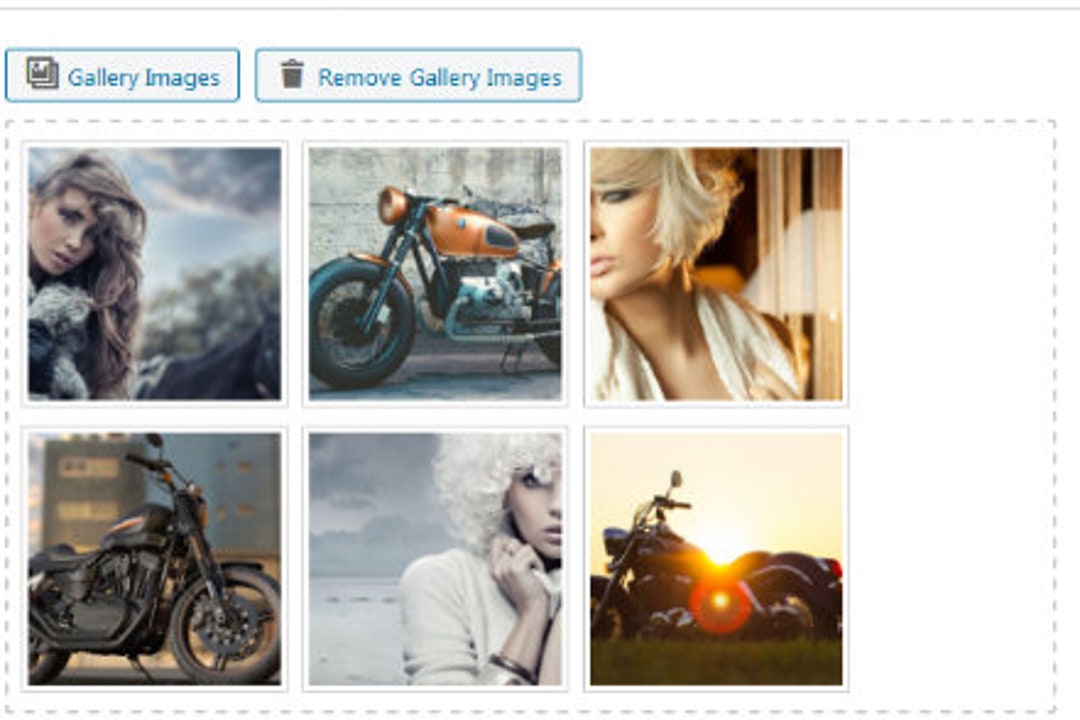 Meta Slider and Carousel With Lightbox Pro V.1.4.4 GPL Download - Etsy
