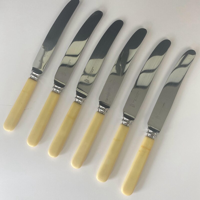 Ivory handles flatware - Etsy Schweiz