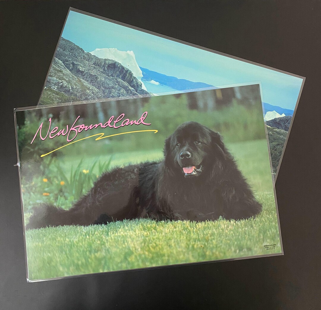 W0690 Vintage Pair of Laminated Placemats of Newfoundland Scenes Dog ...