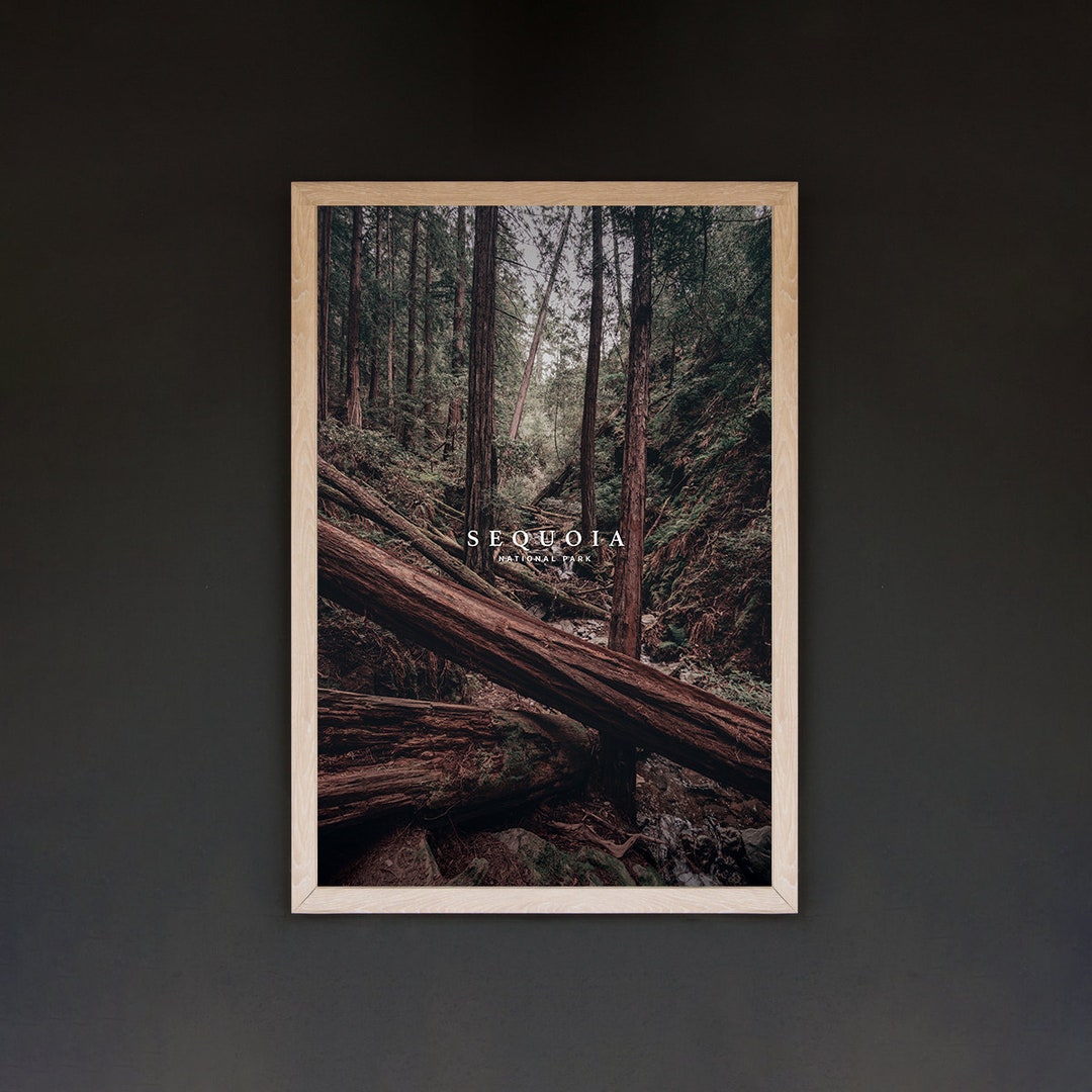 Sequoia National Park Poster, Sequoia National Park Print, National ...