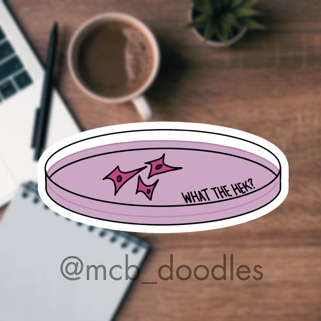 WHAT THE HEK Cell Plate Sticker Humorous Biology Vinyl Decal Unique ...