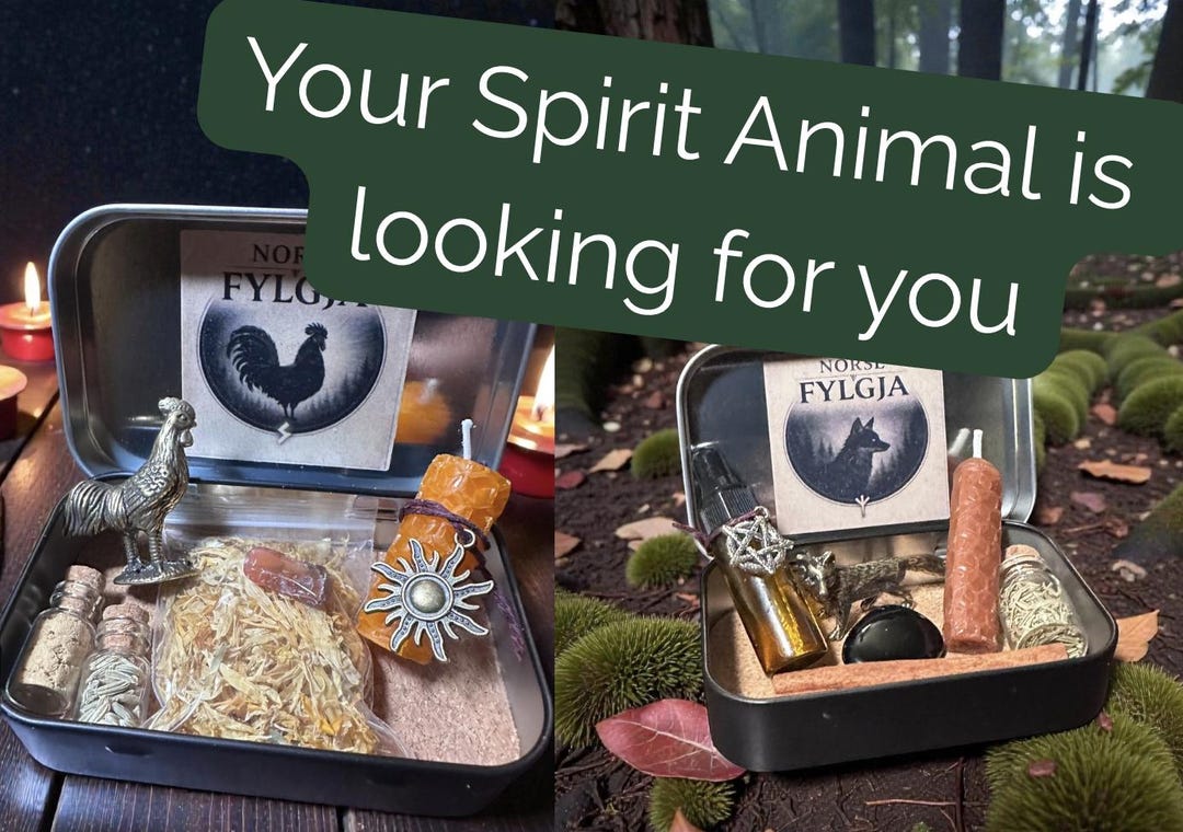 Mystery Fylgja Spirit Animal Altar Tin - Etsy