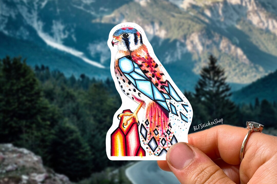 American Kestrel Sticker, Falcon Sticker, Bird Stickers, Kestrel ...